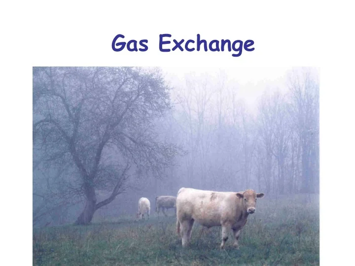 PPT - Gas Exchange PowerPoint Presentation, free download - ID:9643154