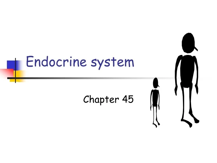 PPT - Endocrine system PowerPoint Presentation, free download - ID:9644338