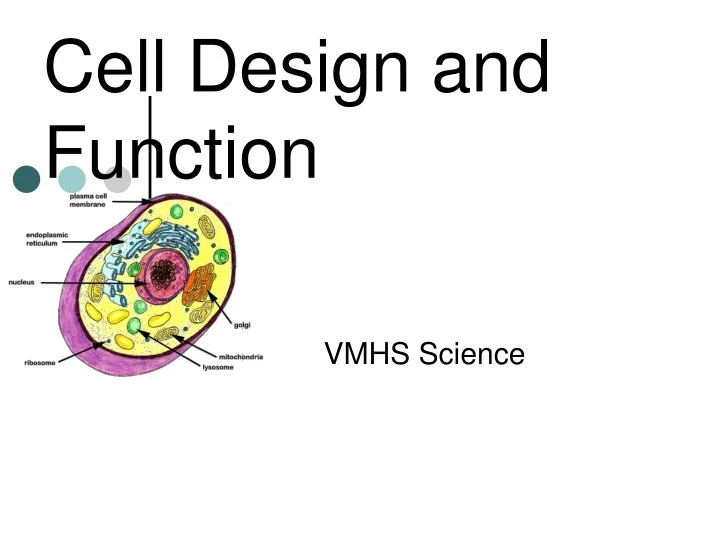 PPT - Cell Design and Function PowerPoint Presentation, free download ...