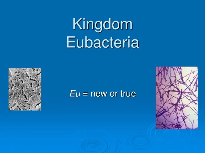 PPT - Kingdom Eubacteria PowerPoint Presentation, free download - ID ...