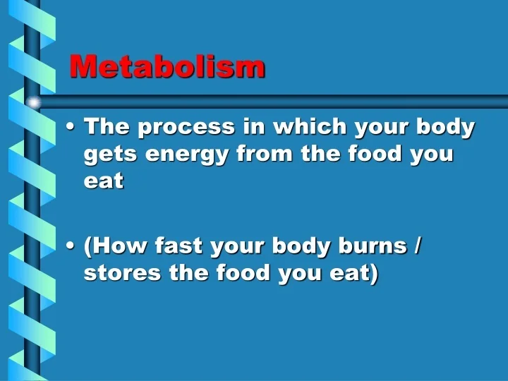 PPT - Metabolism PowerPoint Presentation, free download - ID:9645762