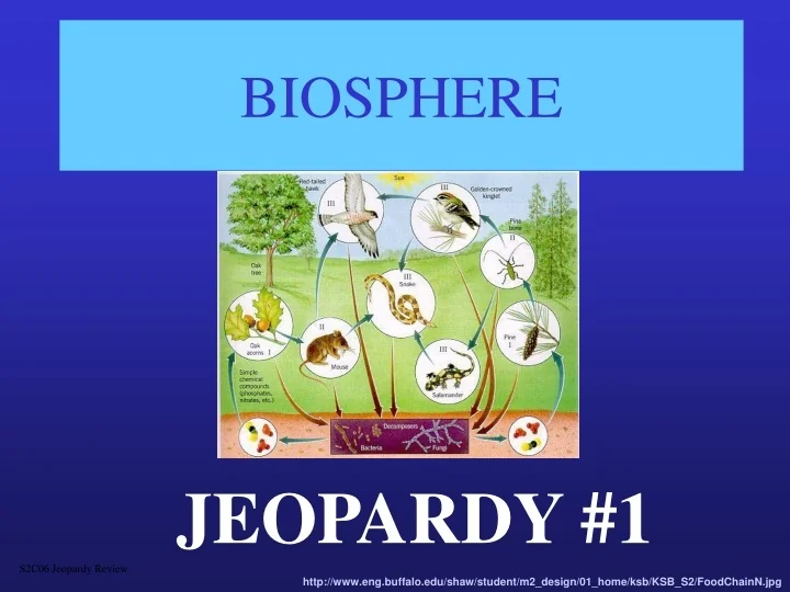 PPT - BIOSPHERE PowerPoint Presentation, free download - ID:9648485