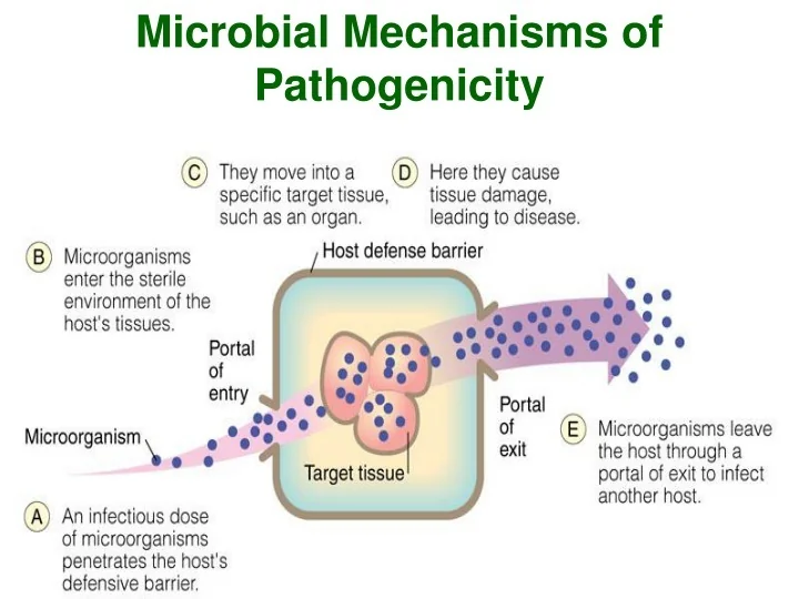 PPT - Microbial Mechanisms of Pathogenicity PowerPoint Presentation ...