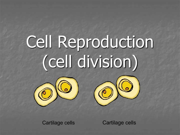 PPT - Cell Reproduction (cell division) PowerPoint Presentation, free ...