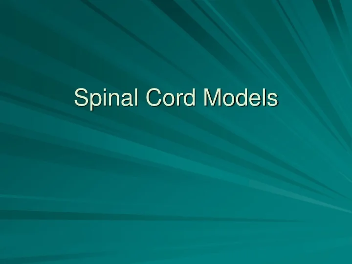 PPT - Spinal Cord Models PowerPoint Presentation, free download - ID ...