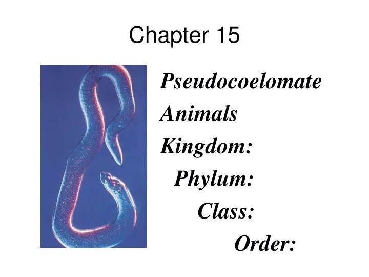 Ppt Chapter 15 Powerpoint Presentation Free Download Id 9656306