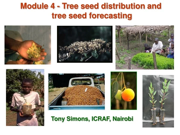 PPT - Module 4 - Tree seed distribution and tree seed forecasting ...