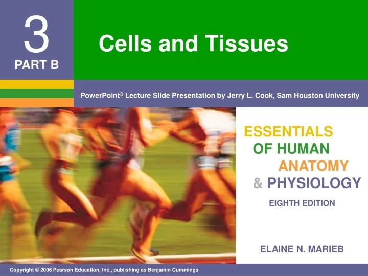 PPT - Cells and Tissues PowerPoint Presentation, free download - ID:9659532