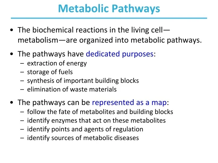 PPT - Metabolic Pathways PowerPoint Presentation, free download - ID ...