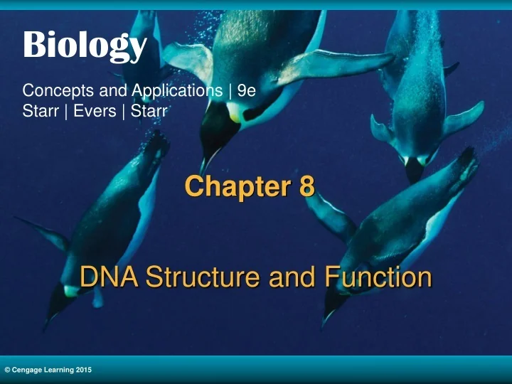 Ppt Dna Structure And Function Powerpoint Presentation Free Download