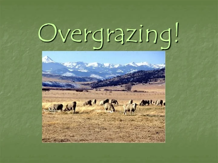 PPT - Overgrazing! PowerPoint Presentation, free download - ID:9667476