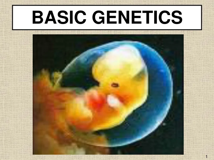 PPT - BASIC GENETICS PowerPoint Presentation, free download - ID:9671552
