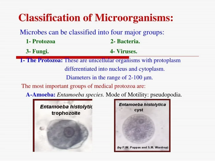 PPT - Classification of Microorganisms: PowerPoint Presentation, free ...
