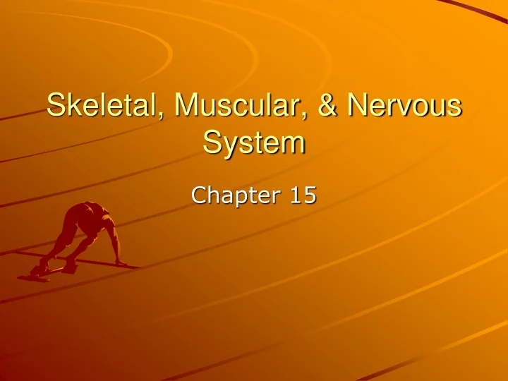 PPT - Skeletal, Muscular, & Nervous System PowerPoint Presentation - ID ...