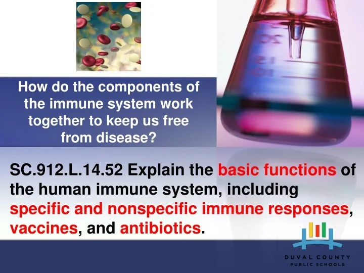 PPT - How do the components of the immune system work together to keep ...
