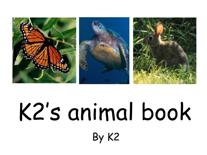 PPT - K2’s animal book PowerPoint Presentation, free download - ID:9677617