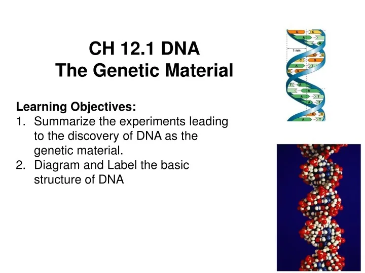 PPT - CH 12.1 DNA The Genetic Material PowerPoint Presentation, free ...