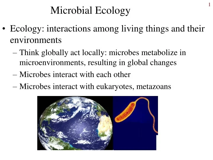 PPT - Microbial Ecology PowerPoint Presentation, free download - ID:9680139