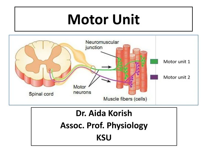 PPT - Motor Unit PowerPoint Presentation, free download - ID:9682182