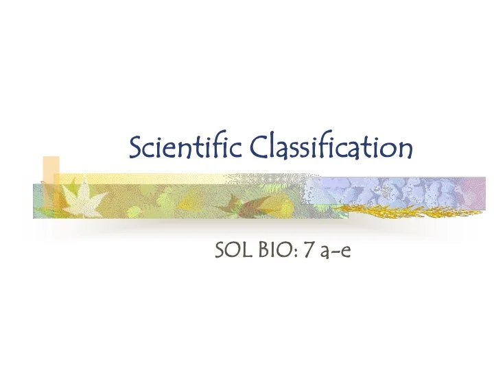 PPT - Scientific Classification PowerPoint Presentation, free download ...