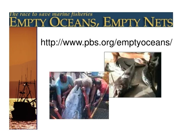 PPT - pbs/emptyoceans/ PowerPoint Presentation, free download - ID:9685177