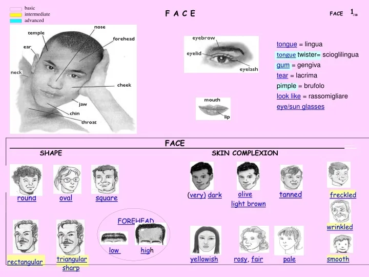 PPT - F A C E PowerPoint Presentation, free download - ID:9688079