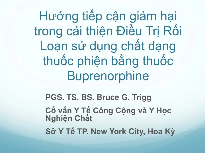 PPT - PGS. TS. BS . Bruce G . Trigg Cố vấn Y Tế Công Cộng và Y Học ...