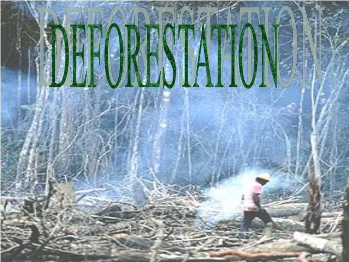 PPT - DEFORESTATION PowerPoint Presentation, free download - ID:9690662