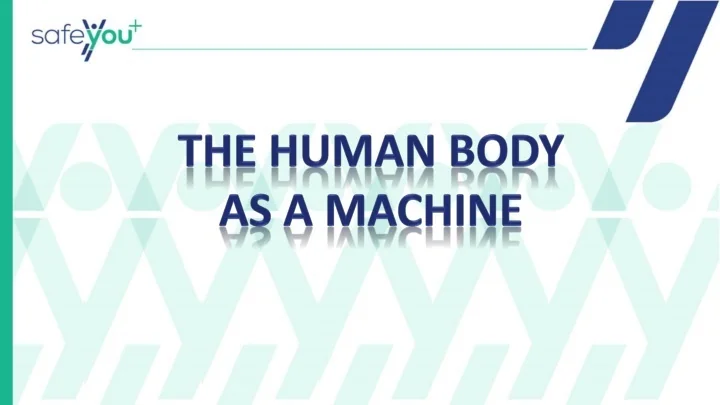 PPT - THE HUMAN BODY AS A MACHINE PowerPoint Presentation, free ...
