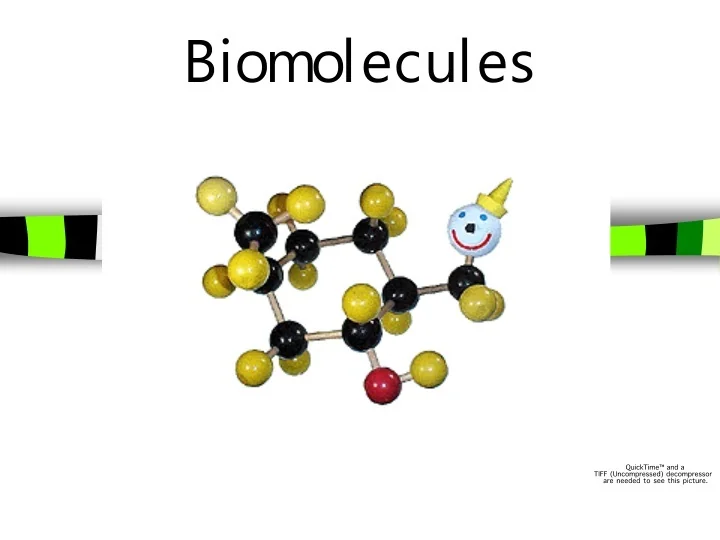 PPT - Biomolecules PowerPoint Presentation, free download - ID:9697660