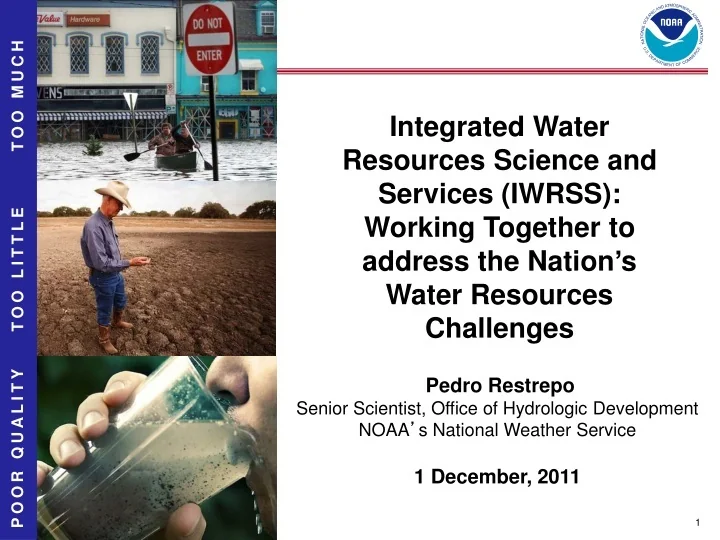 PPT - TOO MUCH PowerPoint Presentation, free download - ID:9698312