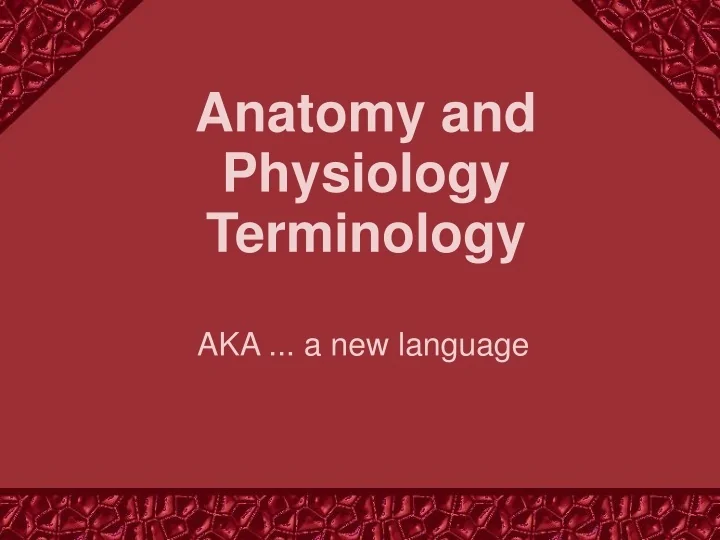 PPT - Anatomy and Physiology Terminology PowerPoint Presentation, free ...
