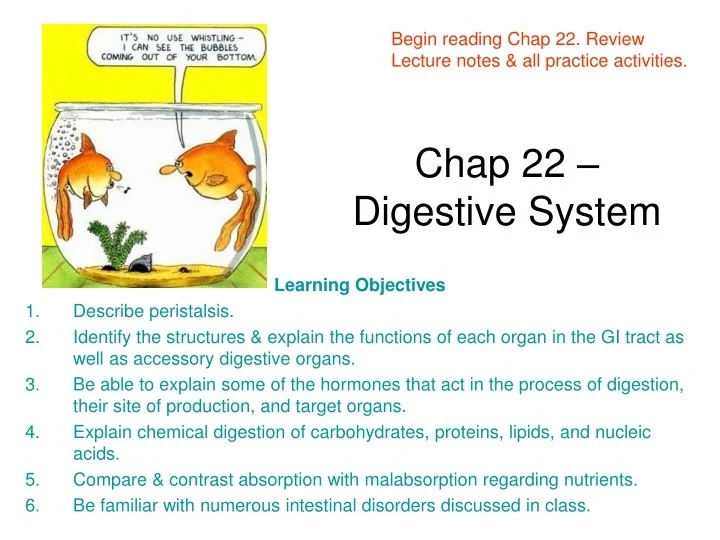 PPT - Chap 22 – Digestive System PowerPoint Presentation, free download ...