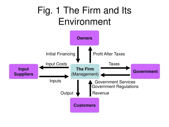 PPT - Fig. 1 The Firm and Its Environment PowerPoint Presentation, free ...