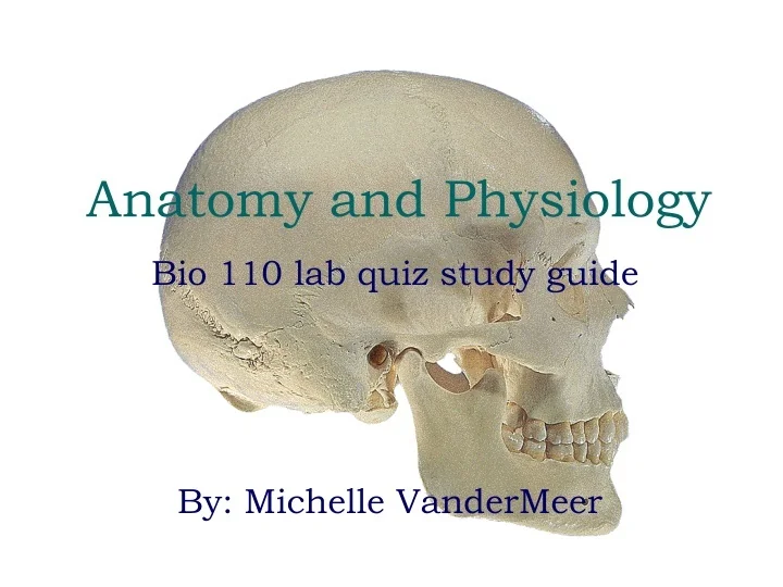 PPT - Anatomy and Physiology PowerPoint Presentation, free download ...