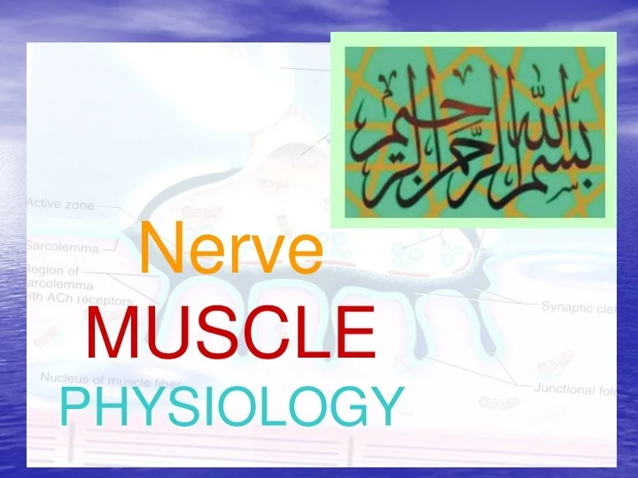 PPT - Nerve MUSCLE PHYSIOLOGY PowerPoint Presentation, free download ...