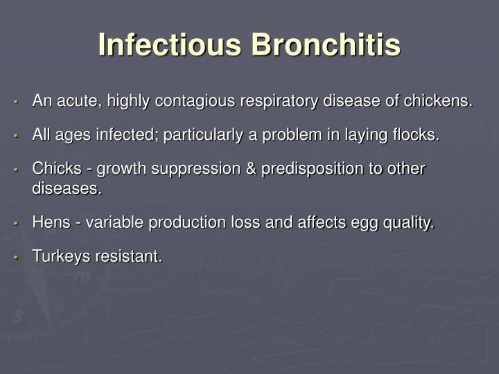 PPT - Infectious Bronchitis PowerPoint Presentation, free download - ID ...