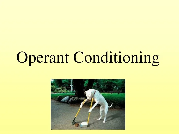 PPT - Operant Conditioning PowerPoint Presentation, free download - ID ...