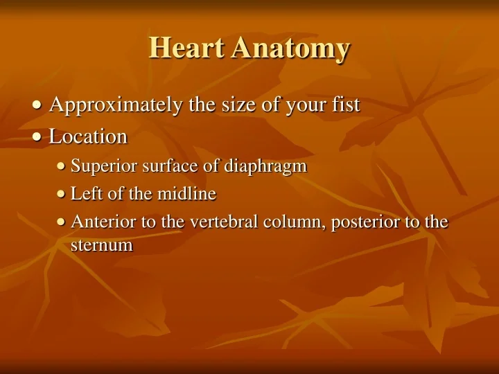 PPT - Heart Anatomy PowerPoint Presentation, free download - ID:9710258