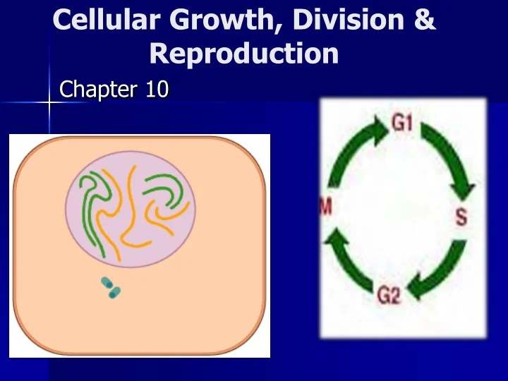 PPT - Cellular Growth, Division & Reproduction PowerPoint Presentation ...