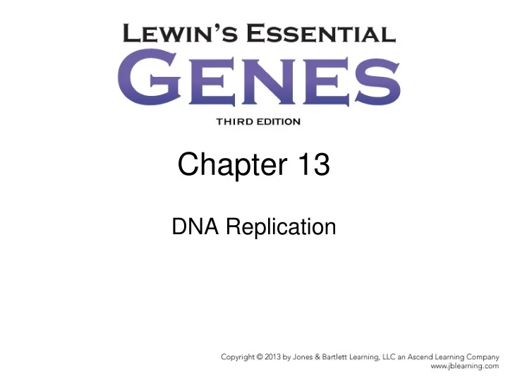 PPT - Chapter 13 DNA Replication PowerPoint Presentation, free download ...