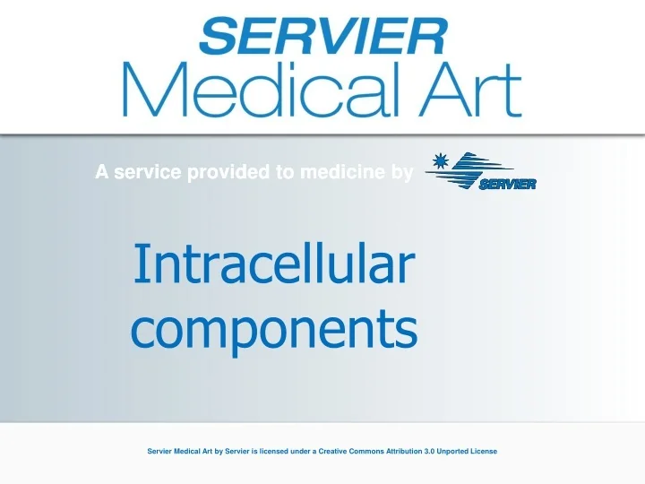 PPT - Intracellular components PowerPoint Presentation, free download ...