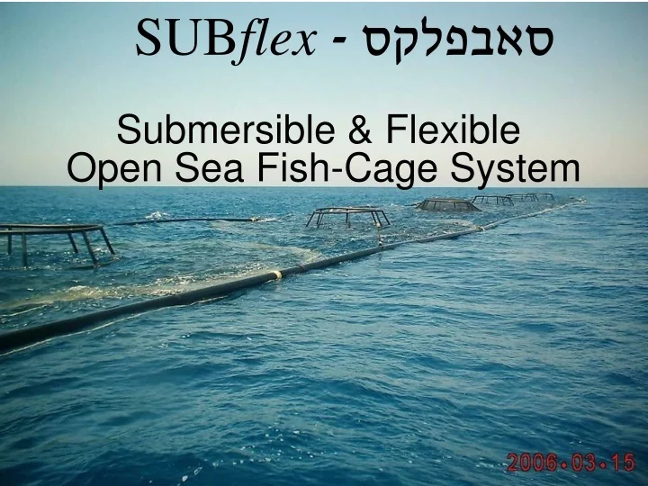 PPT - סאבפלקס - SUB flex PowerPoint Presentation, free download - ID ...