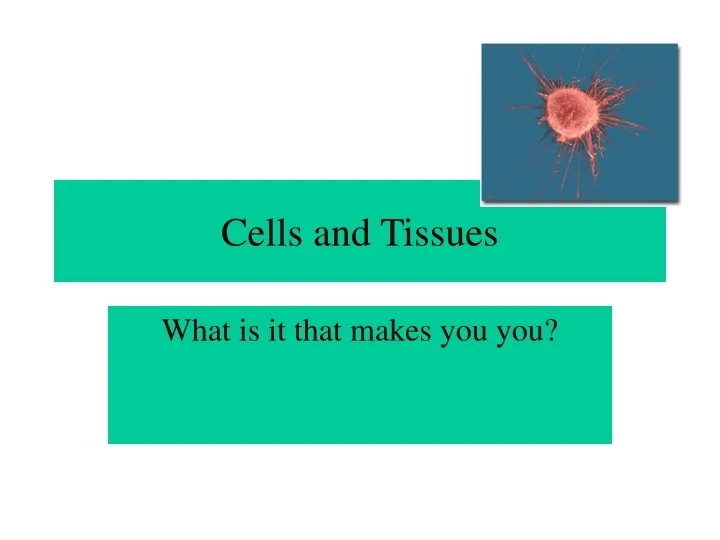 PPT - Cells and Tissues PowerPoint Presentation, free download - ID:9717929