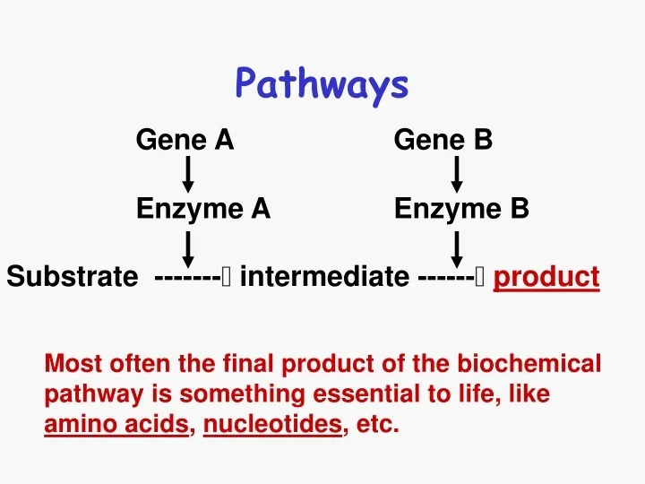 PPT - Pathways PowerPoint Presentation, free download - ID:9719335