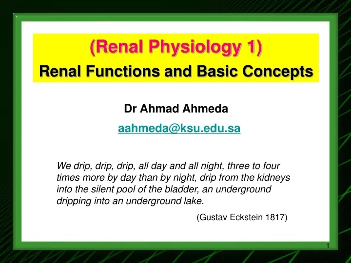 PPT - (Renal Physiology 1) Renal Functions and Basic Concepts ...