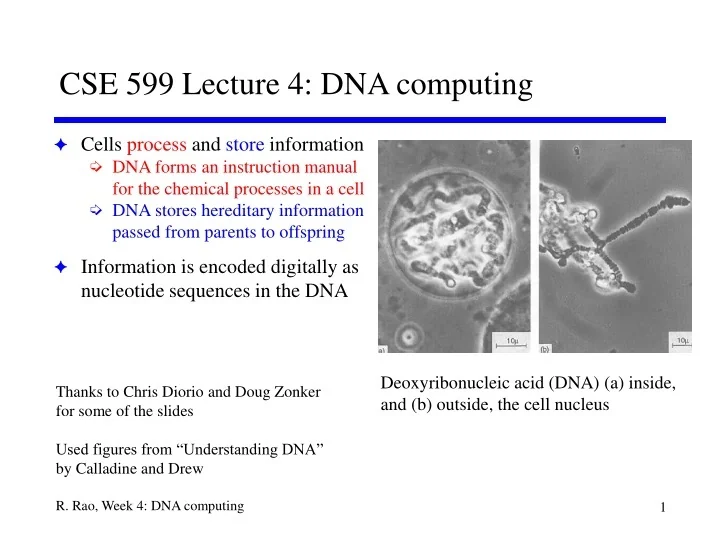 PPT - CSE 599 Lecture 4: DNA computing PowerPoint Presentation, free download - ID:9720448