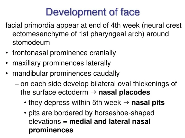 PPT - Development of face PowerPoint Presentation, free download - ID ...