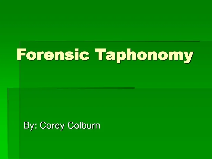 PPT - Forensic Taphonomy PowerPoint Presentation, free download - ID:9733657
