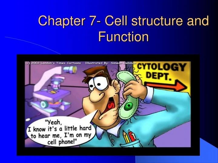 PPT - Chapter 7- Cell structure and Function PowerPoint Presentation, free download - ID:9734948